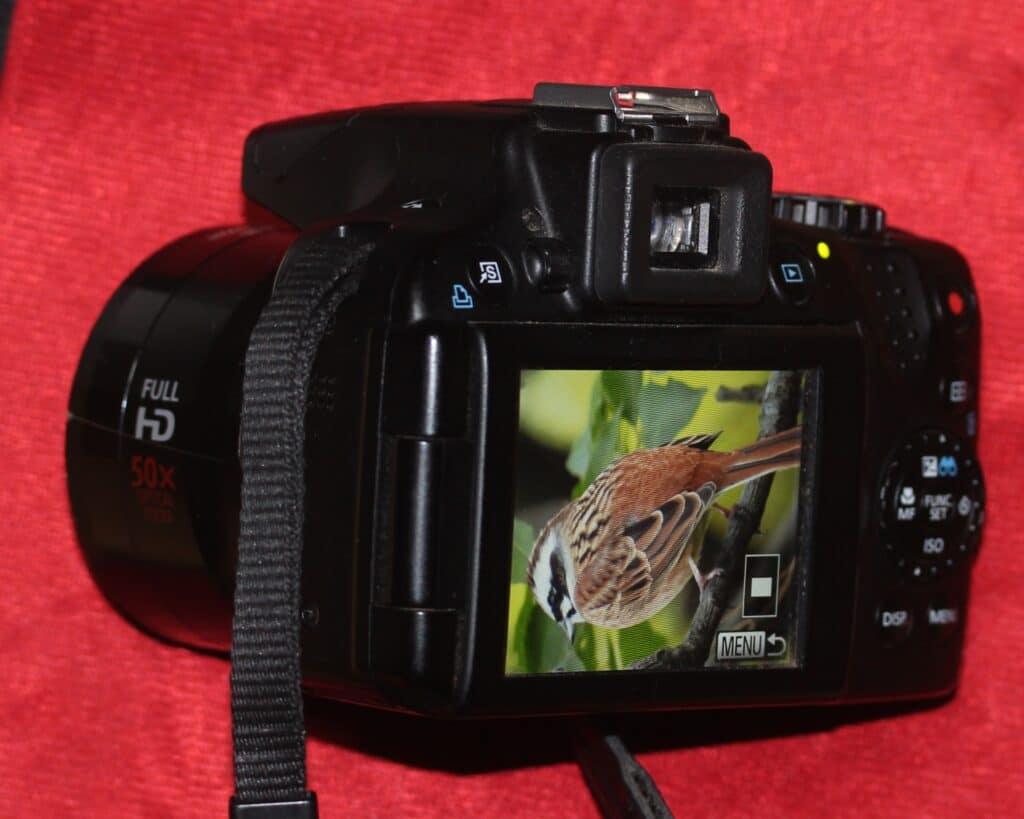¿Cómo utilizar Canon PowerShot SX50 HS? | Total Camera